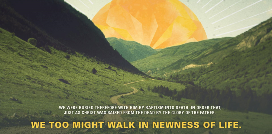 New Life in Christ - First Baptist Church of ElimsportFirst Baptist ...